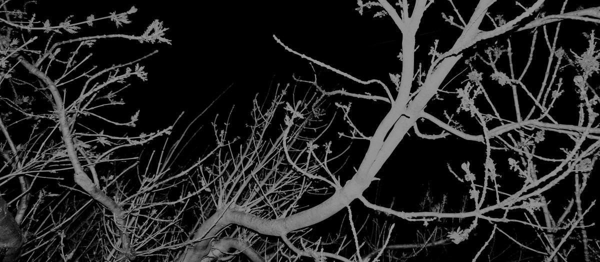 Interview: Curator of Colour – Kulture Kid Digest